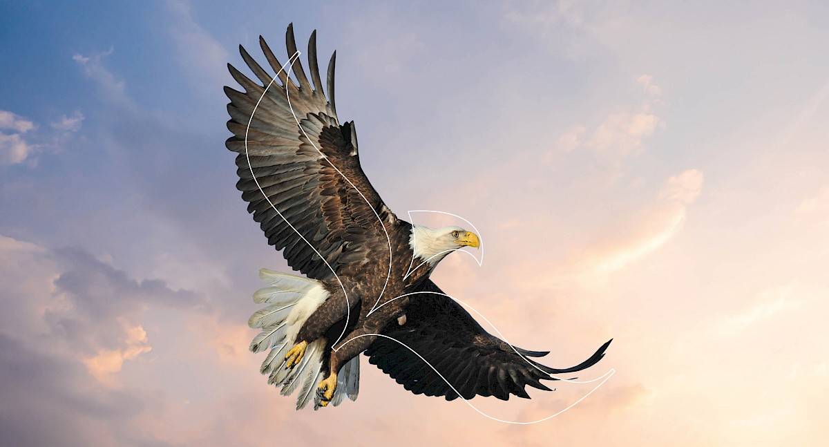 Over Ostyn en de arend - Ostyn